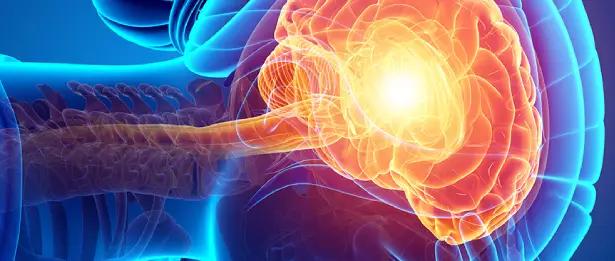 Interventional Neuroradiology - Liv Hospital