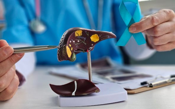 Liv Hospital Ulus - Liv Hospital