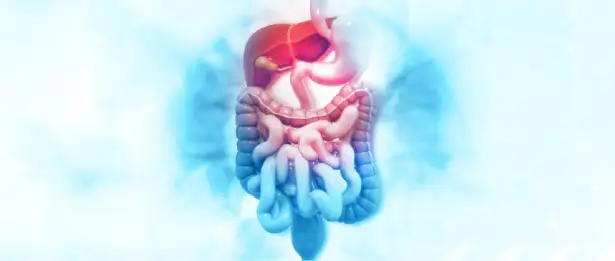 Qu'est-ce que la dissection sous-muqueuse endoscopique (ESD) ? - Liv ...