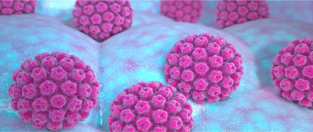 HPV Vaccine - Liv Hospital